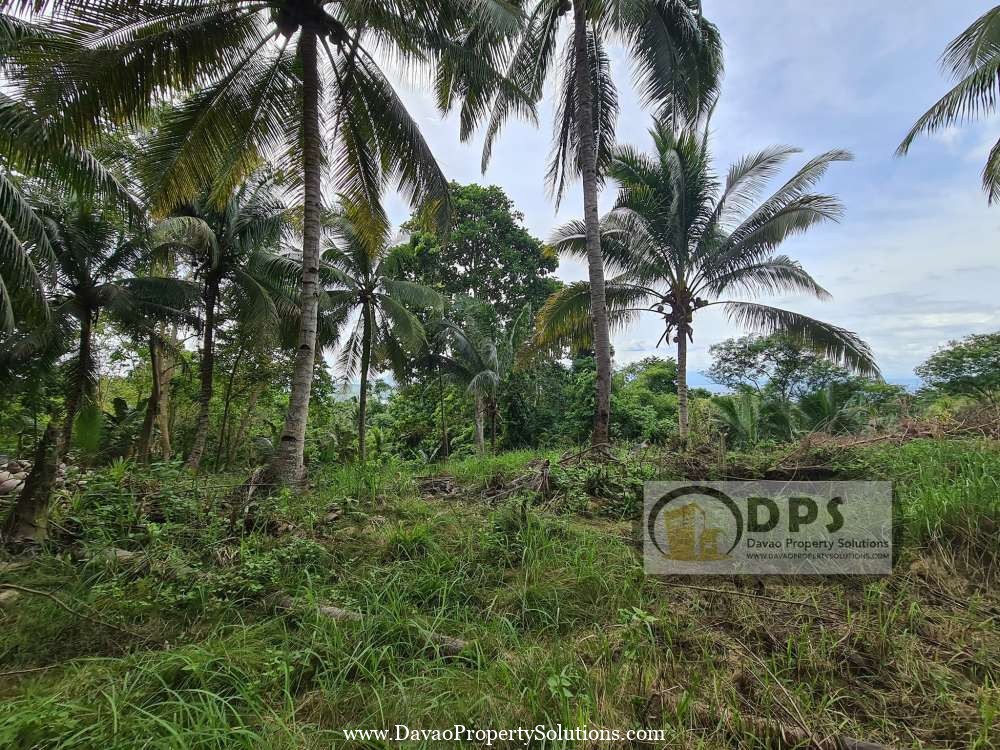 30,000 Square Meters Farm Land along the road + Overlooking to Talikud ...