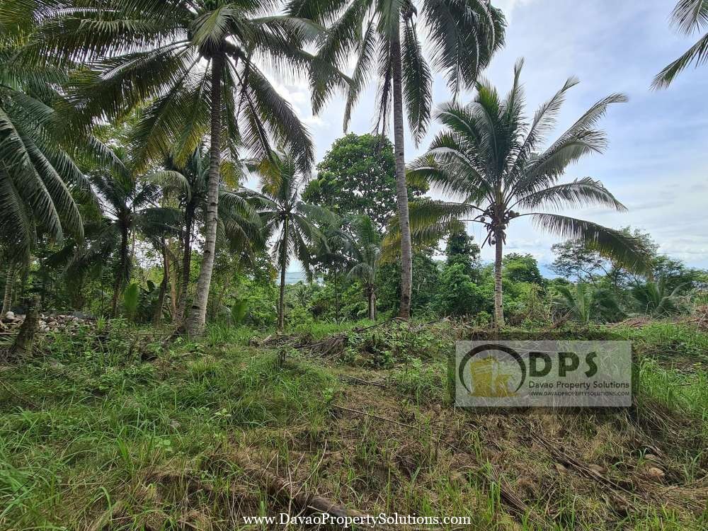 30,000 Square Meters Farm Land along the road + Overlooking to Talikud ...