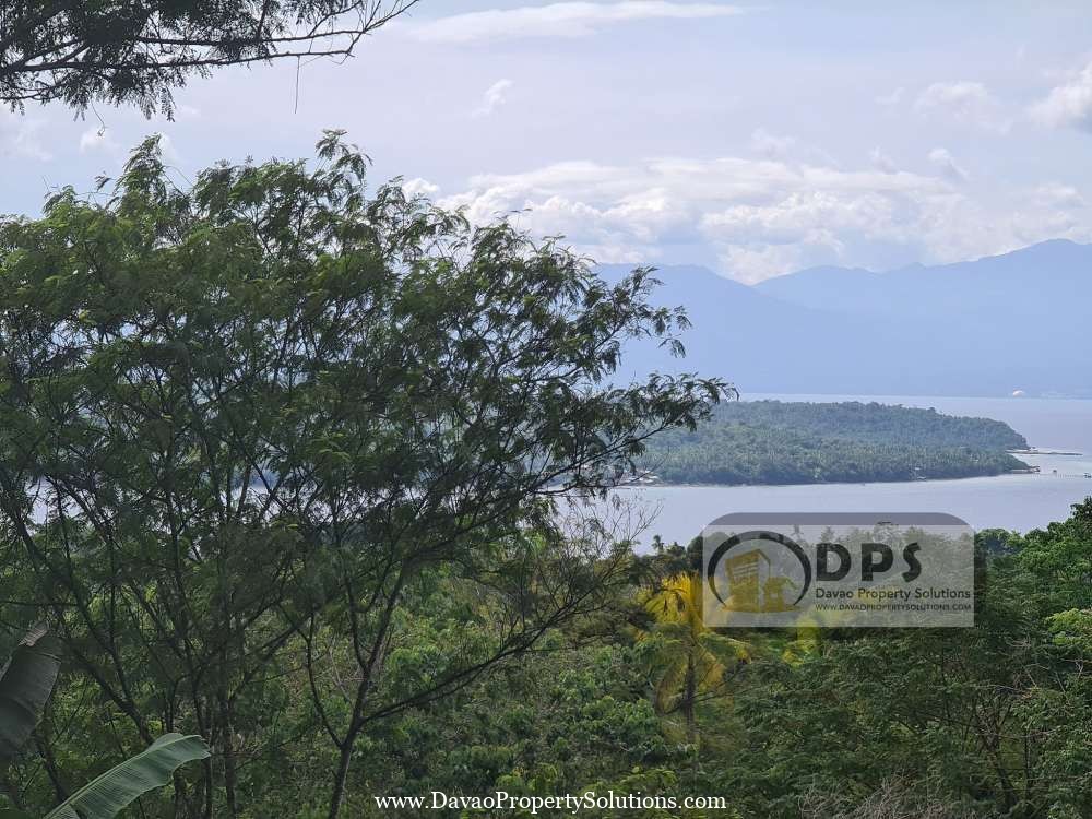 30,000 Square Meters Farm Land along the road + Overlooking to Talikud ...