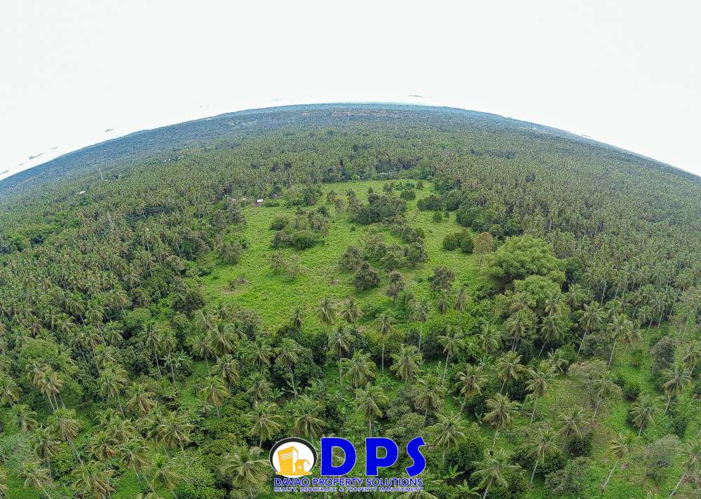 5 Hectares Farm Lot for Sale in Angalan Tugbok Davao City | Davao ...