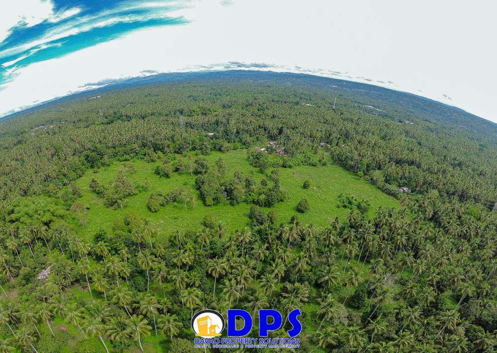 5 Hectares Farm Lot for Sale in Angalan Tugbok Davao City | Davao ...