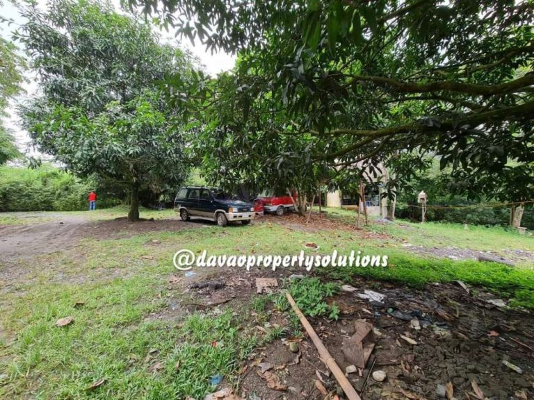 Understanding the Title Processing Landscape in Davao: What Buyers Need ...