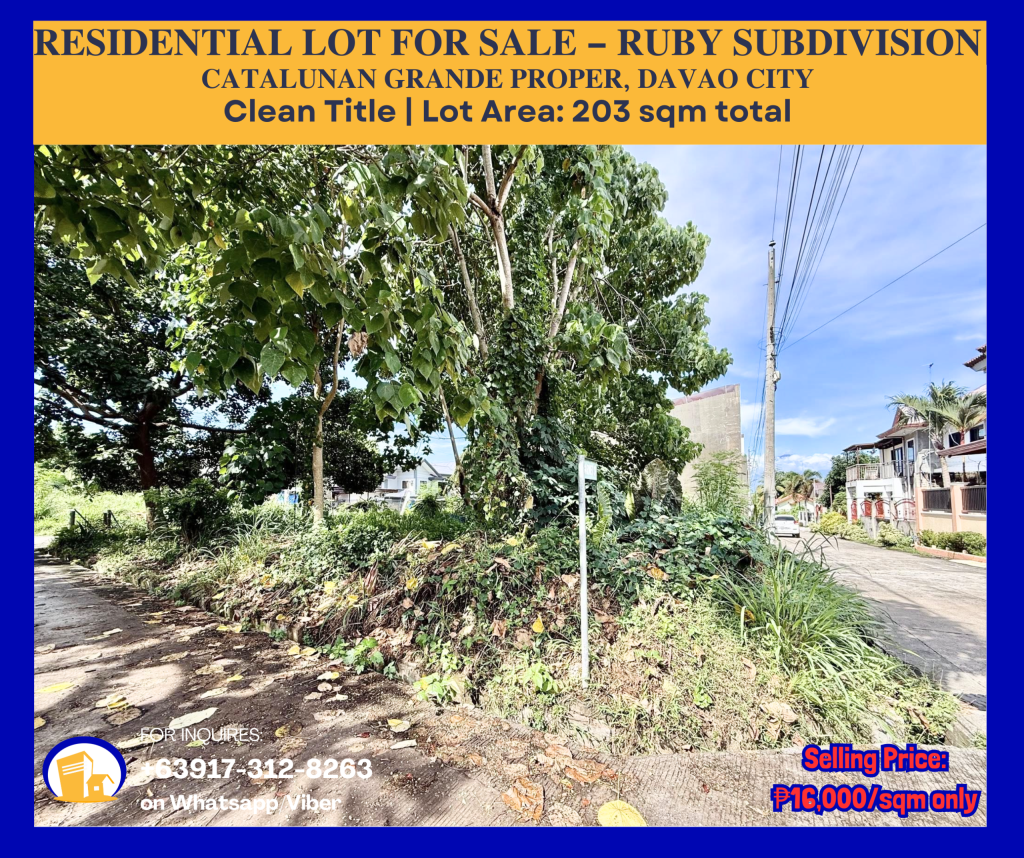 203sqm Residential Lot for Sale in Ruby Subdivision, Catalunan Grande ...